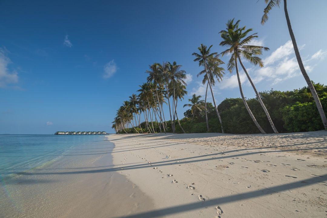 Siyam World Maldives - All-Inclusive Luxury Resort - 5-Star